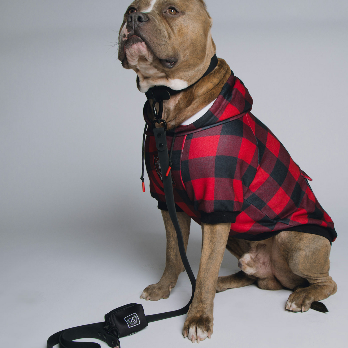 Redrum Dog Hoodie – Dixxon Flannel Australia